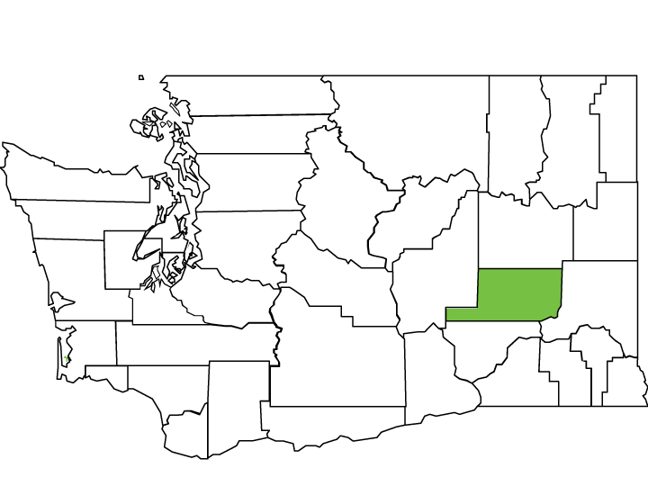 Adams County Spotlight – Washington State Association of Counties