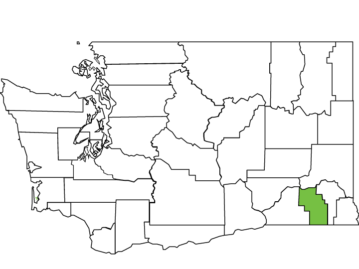 Columbia County Spotlight – Washington State Association of Counties