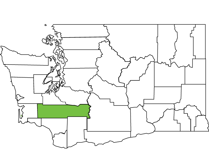Lewis County Spotlight – Washington State Association of Counties